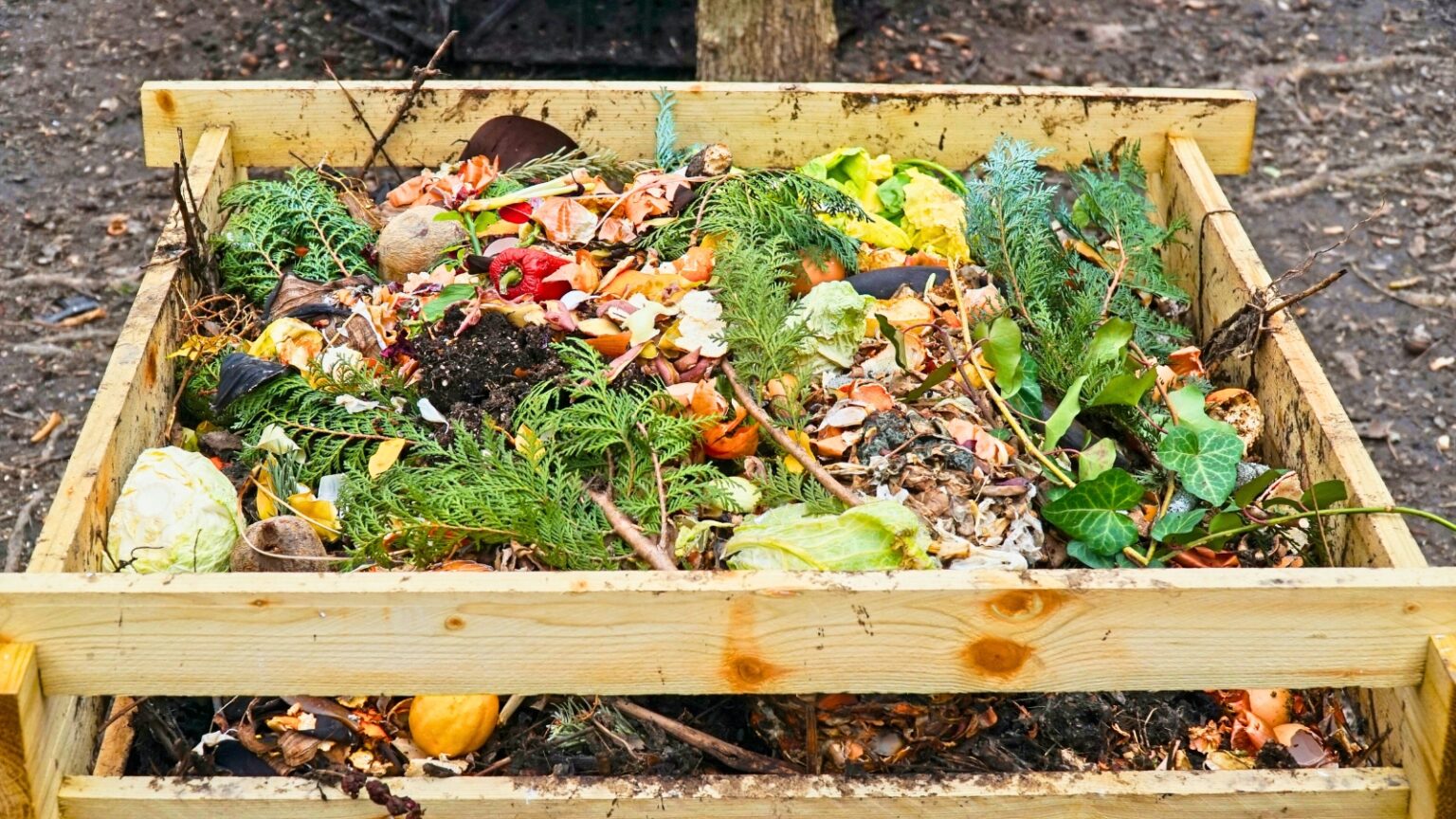 Come fare il compost in casa: trasformare gli scarti in risorsa