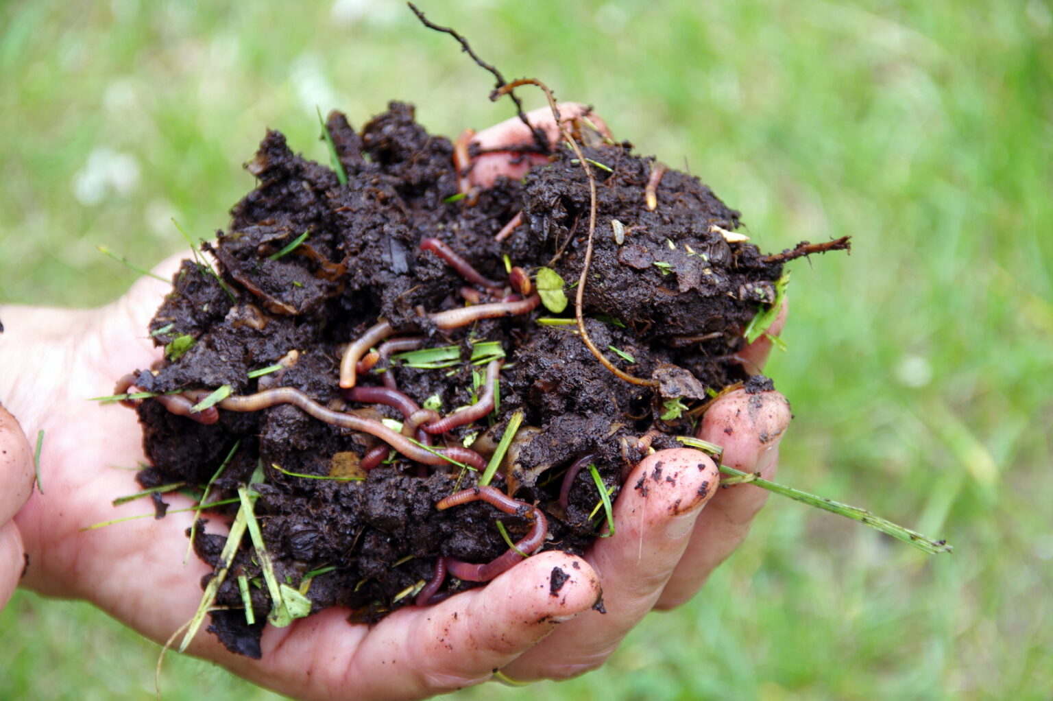 Come fare il compost in casa: trasformare gli scarti in risorsa